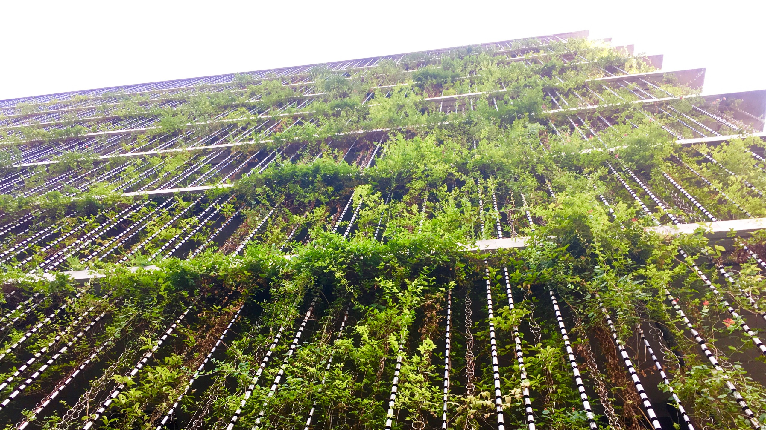 COOP Kyosai Plaza | Office | Projects | NIKKEN SEKKEI LTD